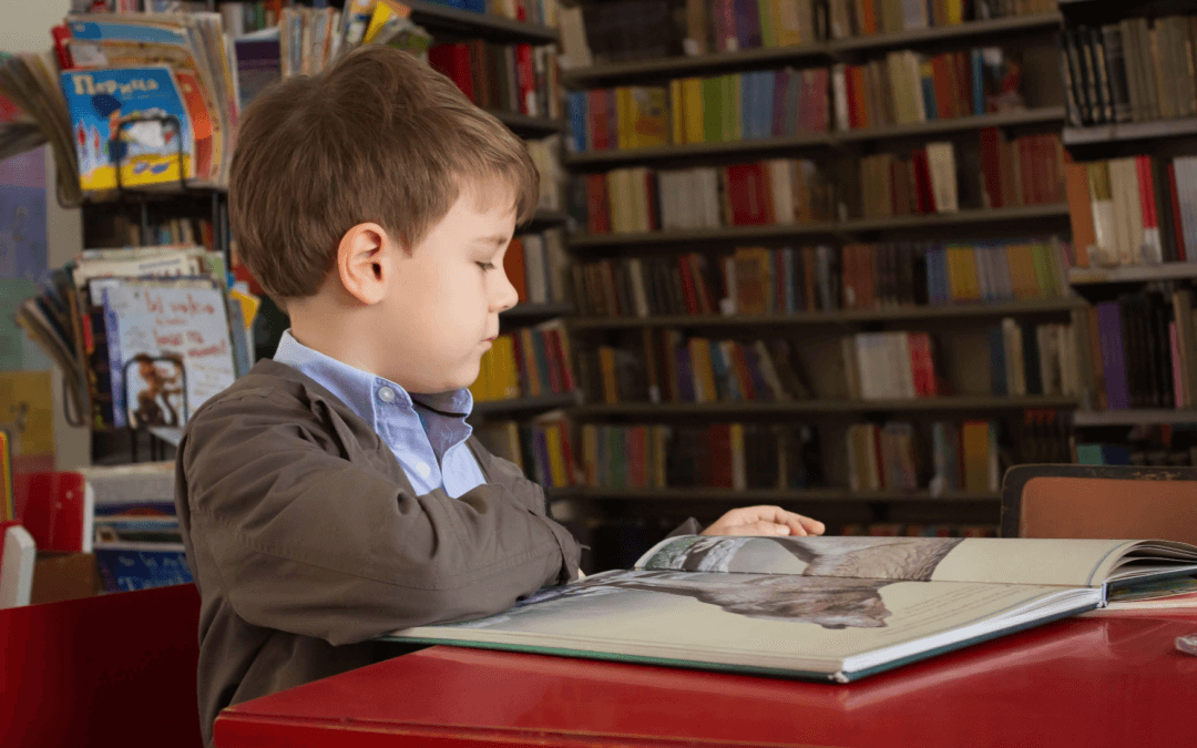 Children s Working Memory Student Navigator
